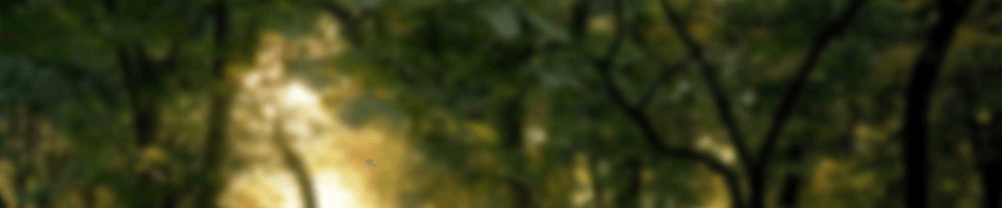 Atwell Labelling Machinery | Advanced Labelling Systems | Labelling ...